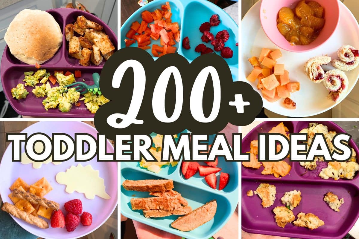 200 Toddler Meal Ideas: Nutritious and Easy Meals for Little Eaters ...