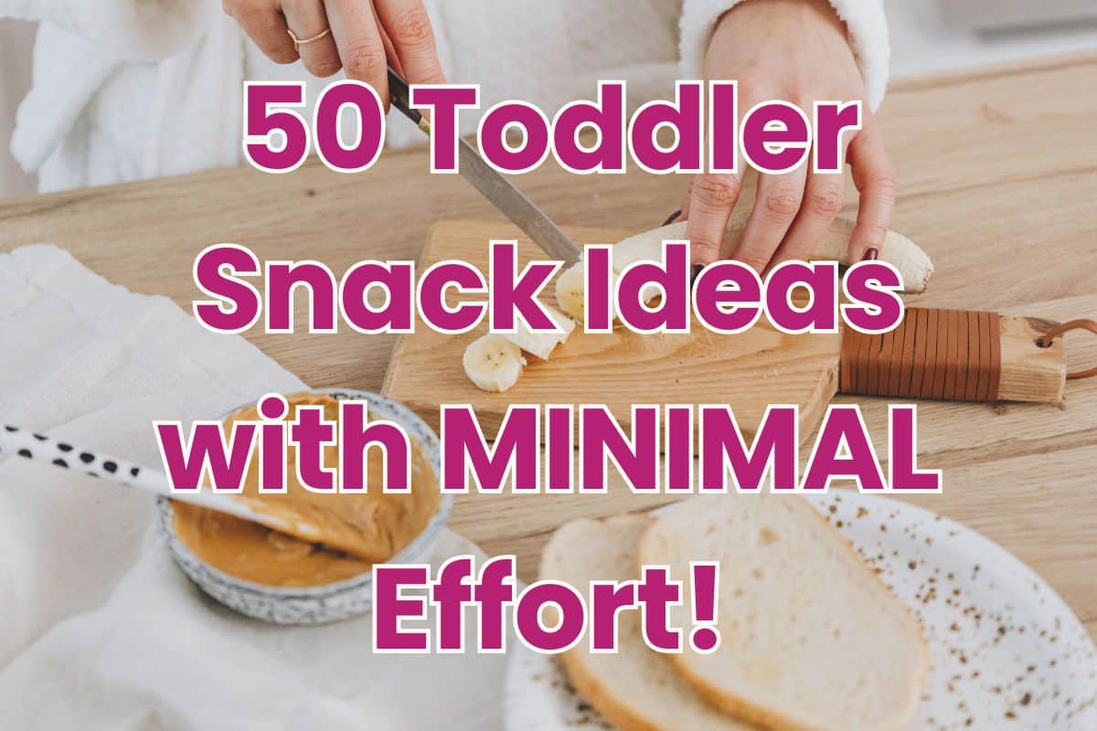 Top 50 Toddler Snack Ideas with Minimal Effort from a Family Culinary ...